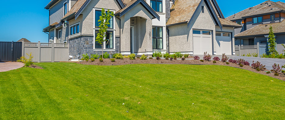 Want a Great Lawn Without Waiting? Get Sod! | Creekside Landscapes