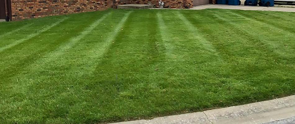 Lawn Care Services in Bethalto, Edwardsville, & Maryville, Illinois ...