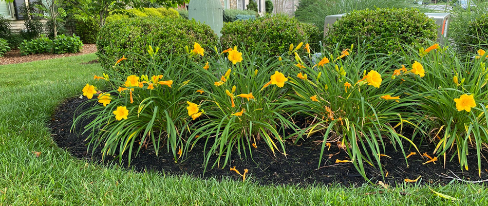 3 Reasons Why You Should Replenish Your Mulch This Spring in Illinois ...