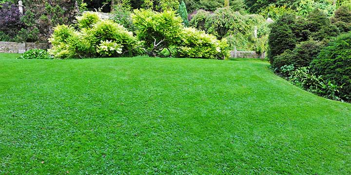 Premium Landscaping & Hardscapes in Bethalto, Edwardsville, & Maryville ...